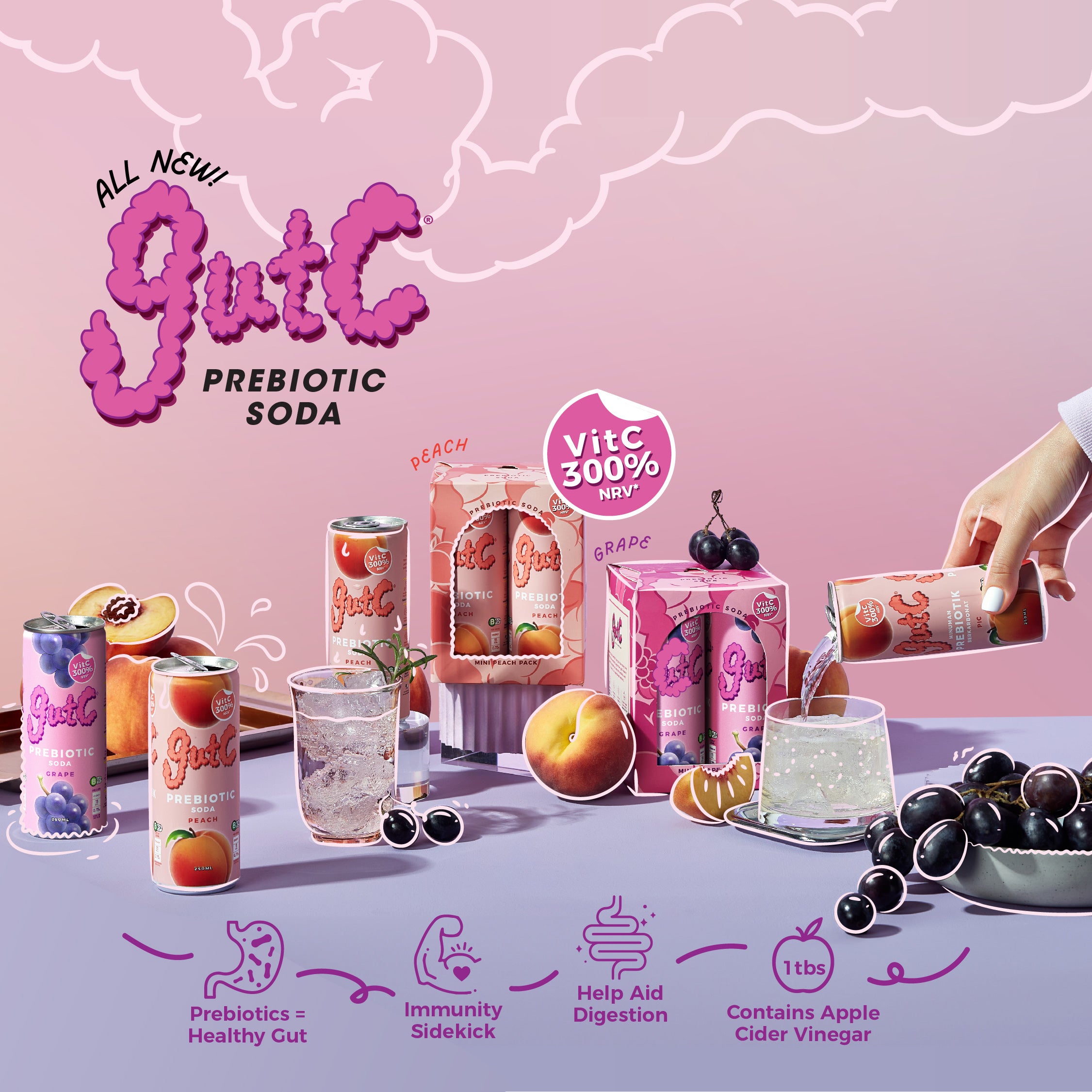 Natural Sparkling Soda with Real Juice – The Tapping Tapir Pte Ltd