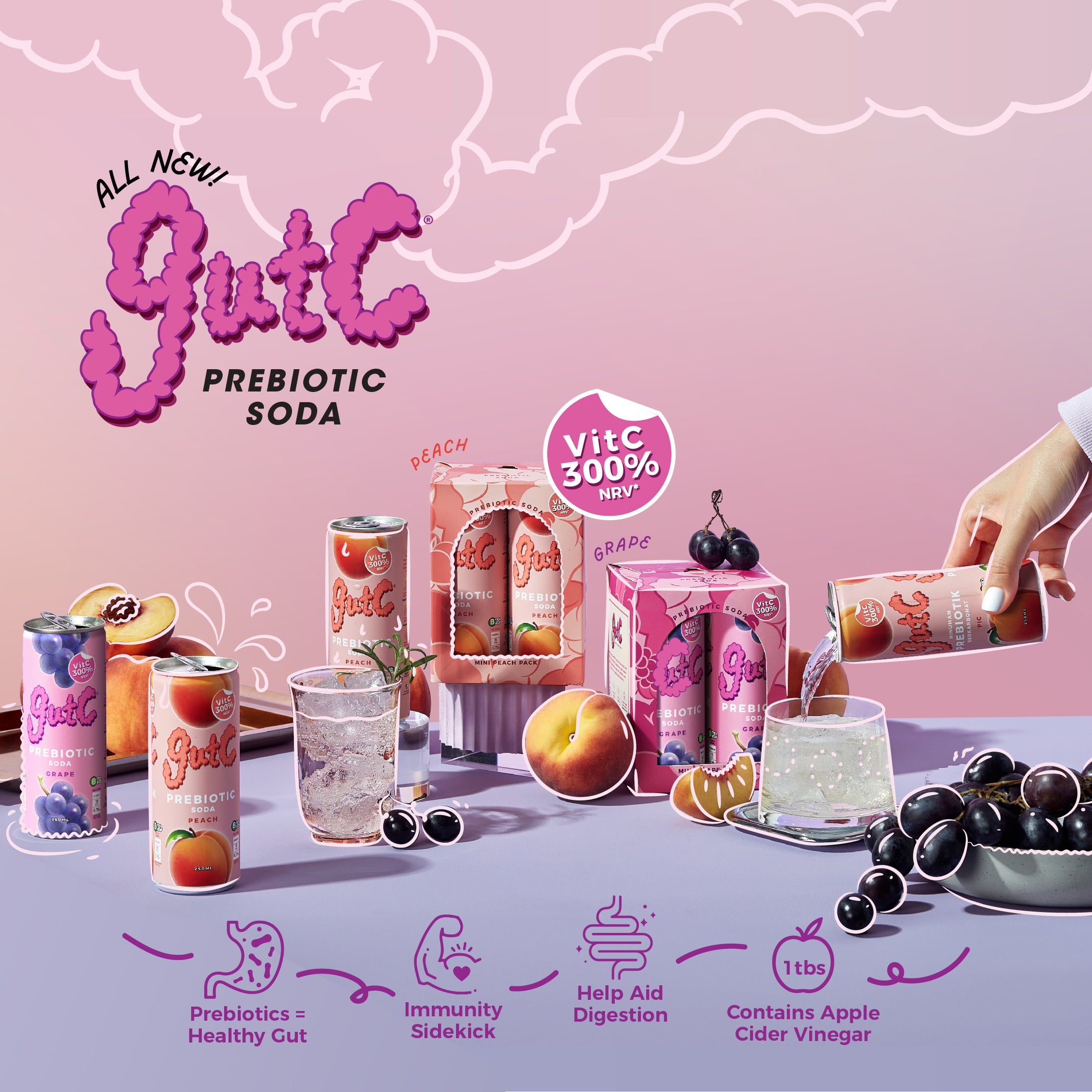 Natural Sparkling Soda with Real Juice – The Tapping Tapir Pte Ltd