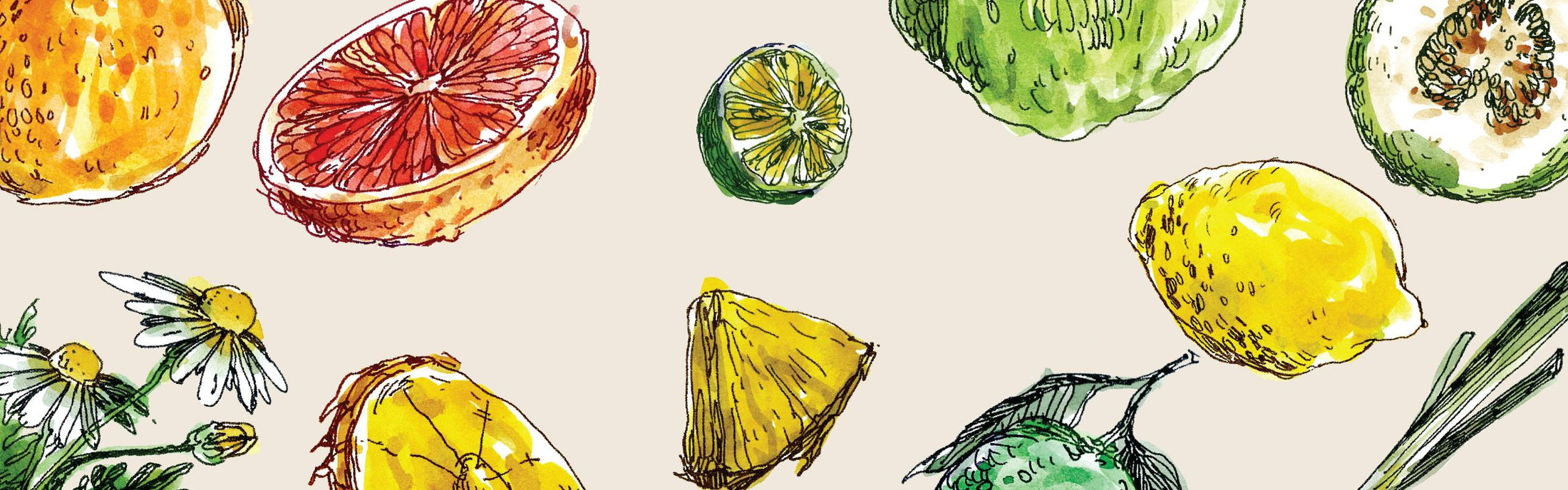 Our Products – The Tapping Tapir Pte Ltd